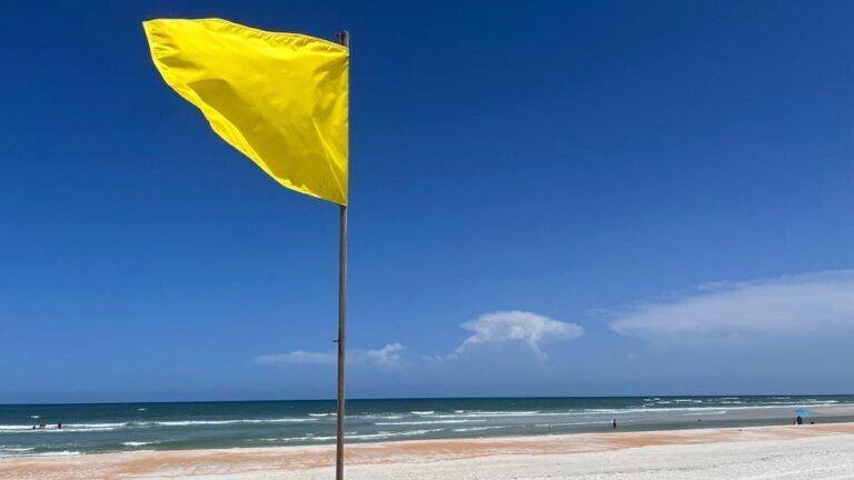 Beach Flags: Everything You Need To Know